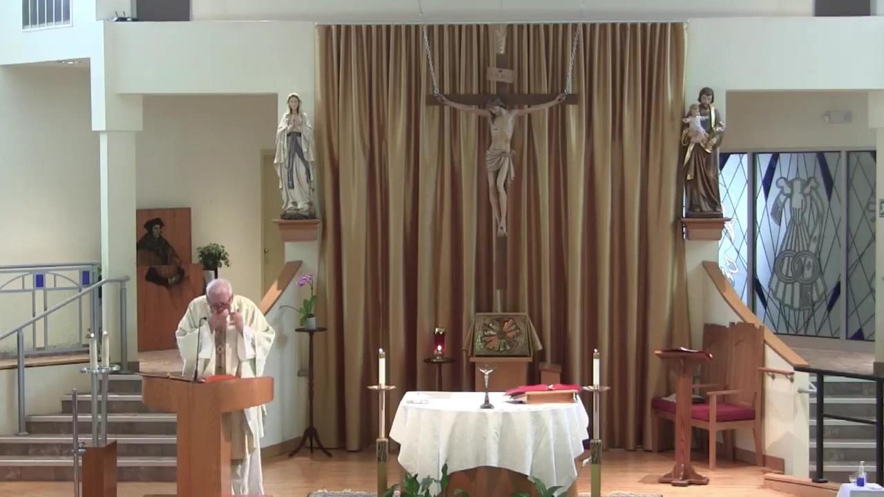 Homily for Corpus Christi "A" 2023 - One News Page VIDEO