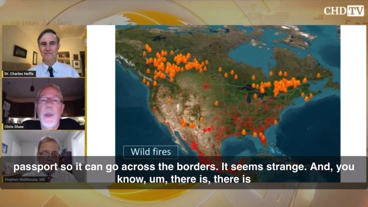 IS ARSON THE CAUSE OF MORE WILDFIRES? - One News Page VIDEO