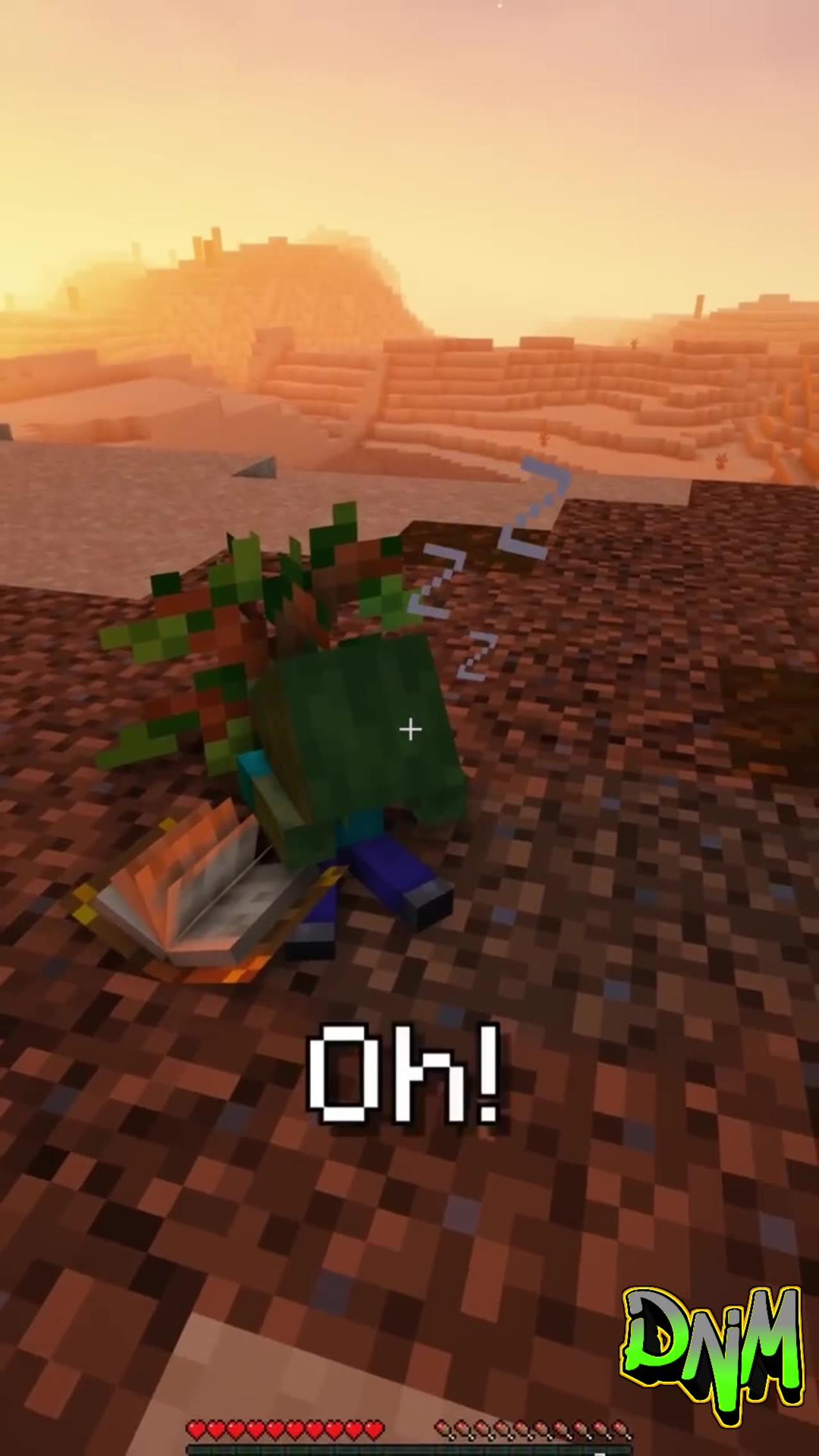 THE BEST OF ETHOBOT 2022 - One News Page VIDEO