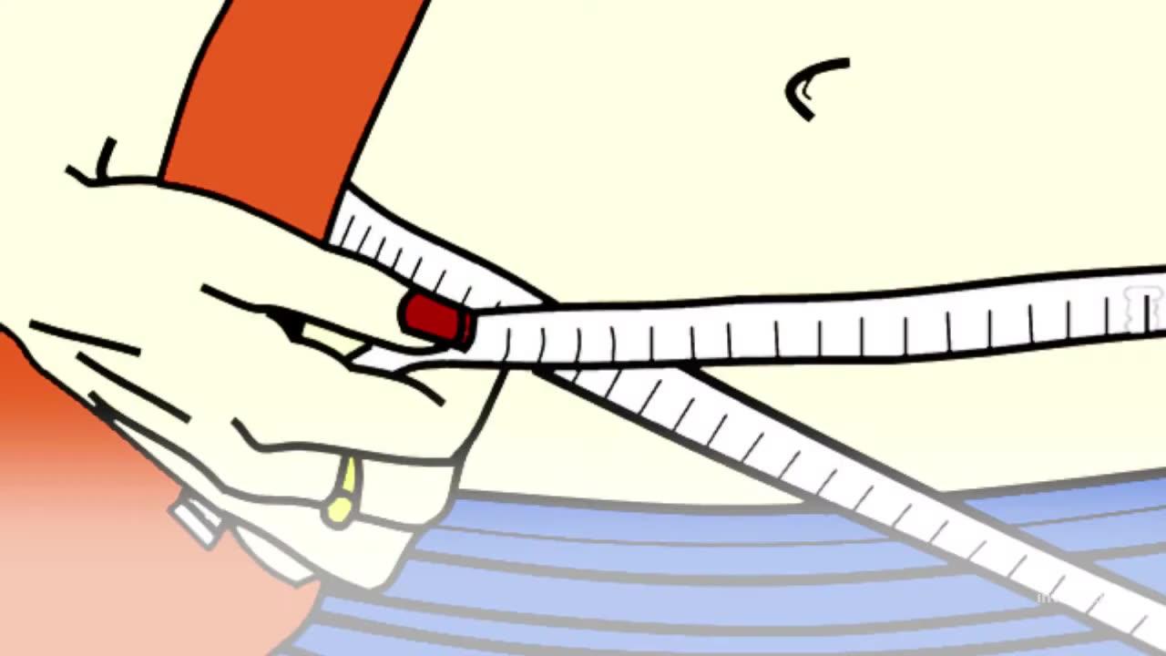 How To Lose Belly Fat One News Page Video