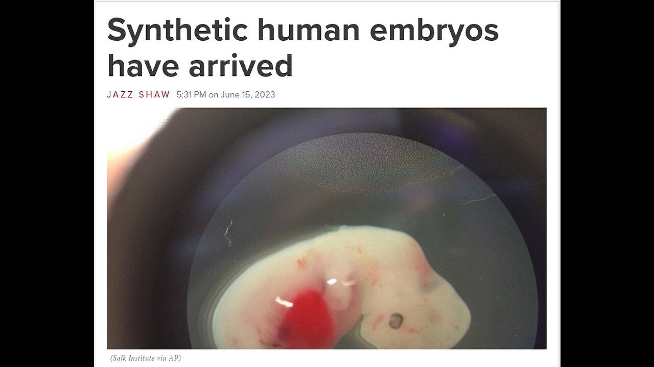 Synthetic human embryos have arrived - One News Page VIDEO