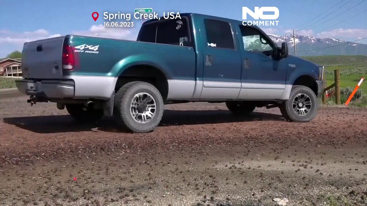 WATCH: Nevada confronts invasion of blood-red - One News Page VIDEO