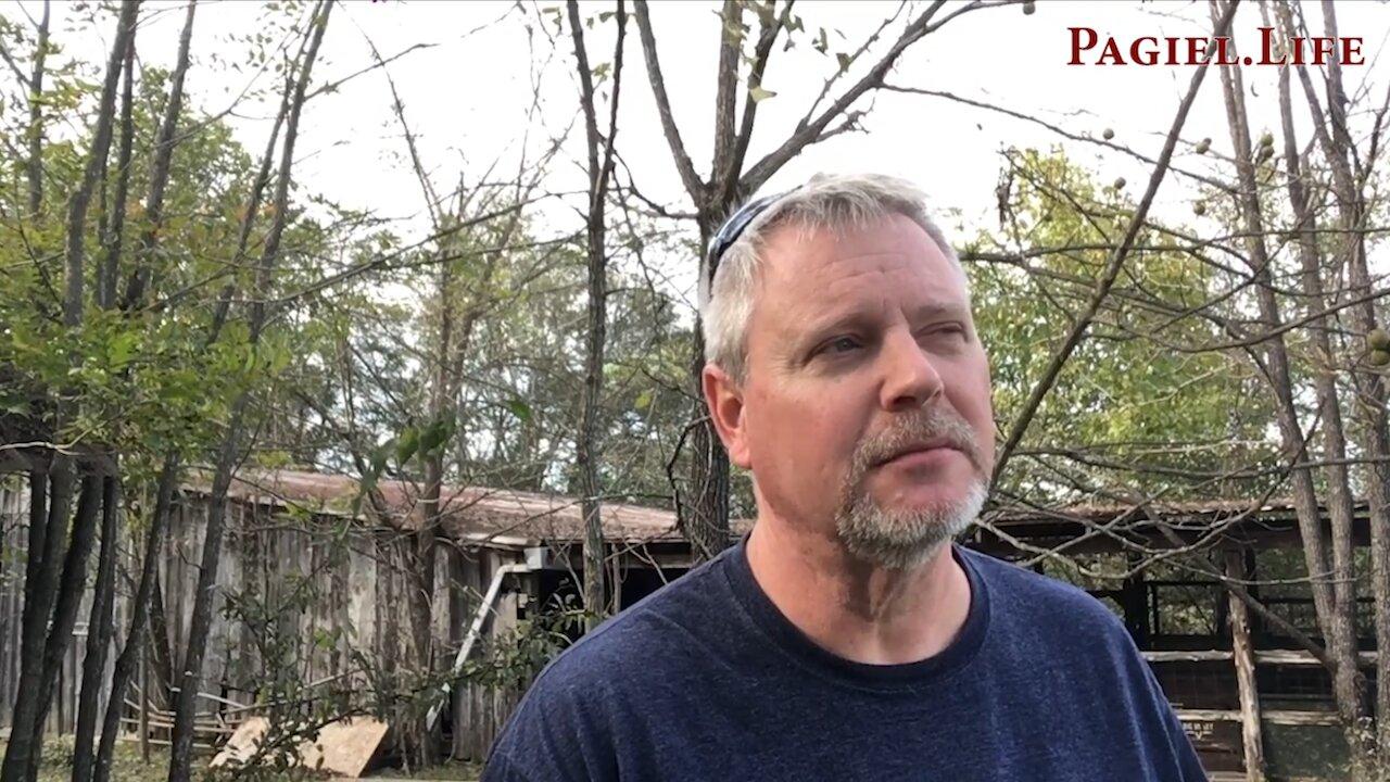 Dave gives Introduction of the Pagiel Story - One News Page VIDEO
