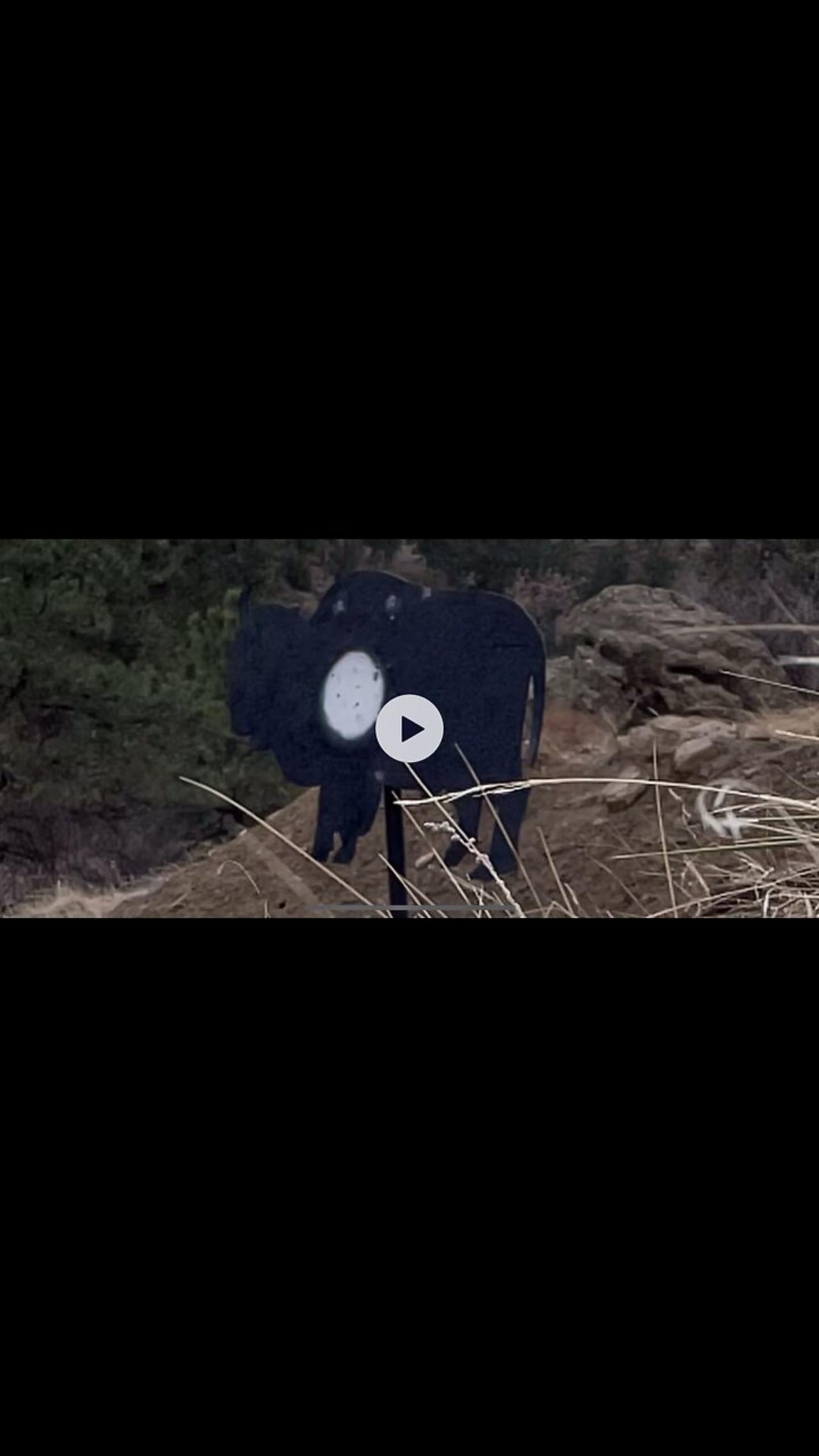 BPCR 640 Grain Buffalo hit - One News Page VIDEO