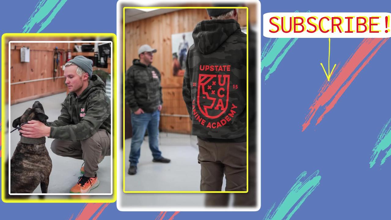 EVERYTHING YOU NEED TO KNOW ABOUT THE PRONG - One News Page VIDEO