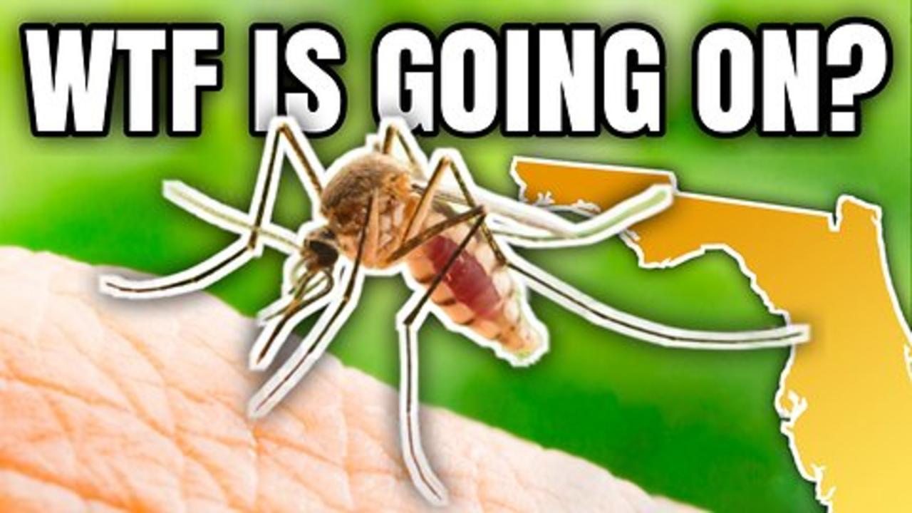 WTF IS HAPPENING IN FLORIDA? | Bubba the Love - One News Page VIDEO