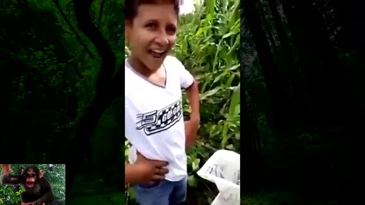 Now you're going to laugh a lot - One News Page VIDEO