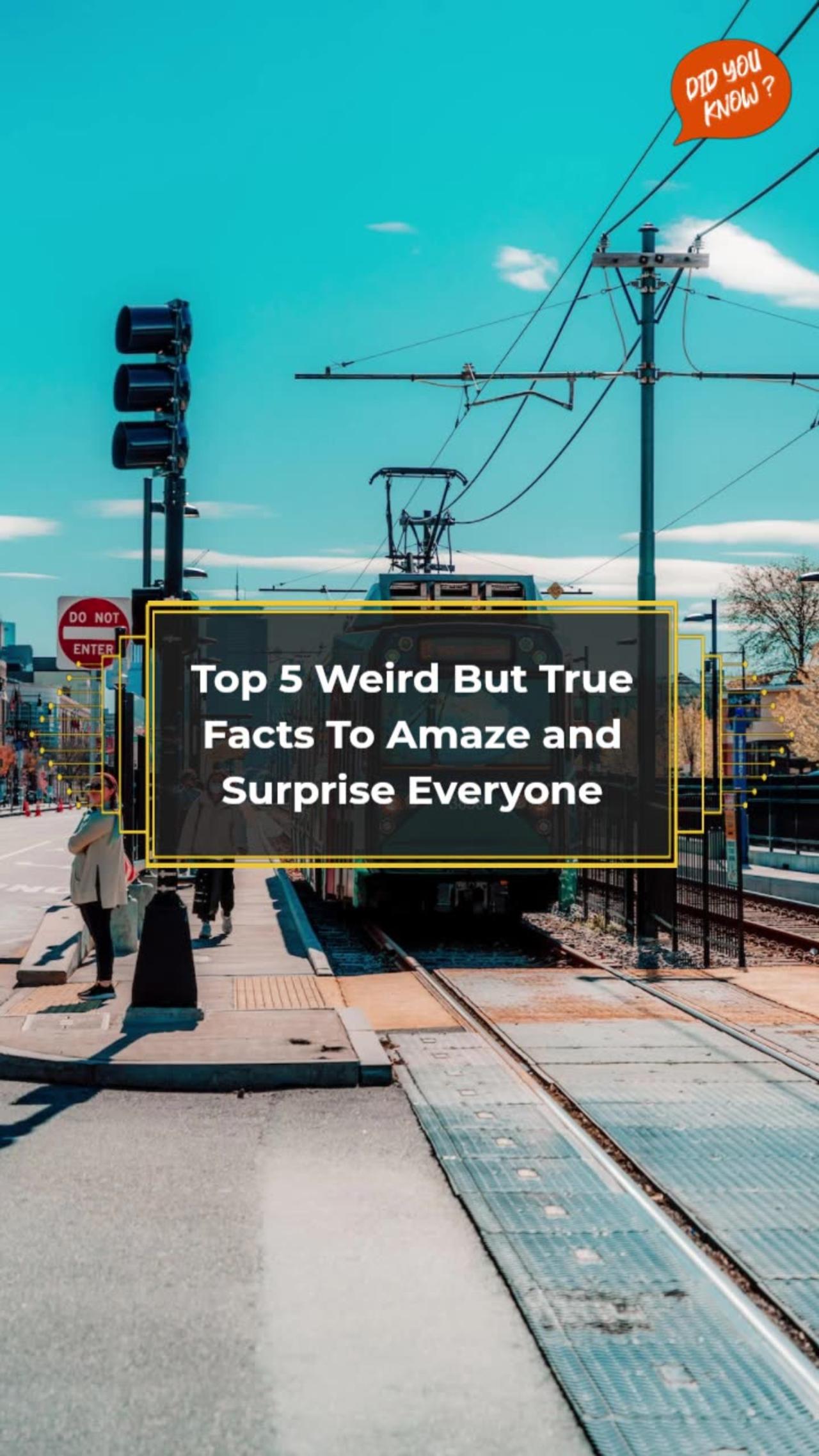 Top 5 Weird But True Facts To Amaze and Surprise - One News Page VIDEO
