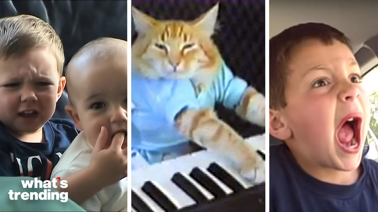 The Top Viral Videos of the Early 2000s - One News Page VIDEO