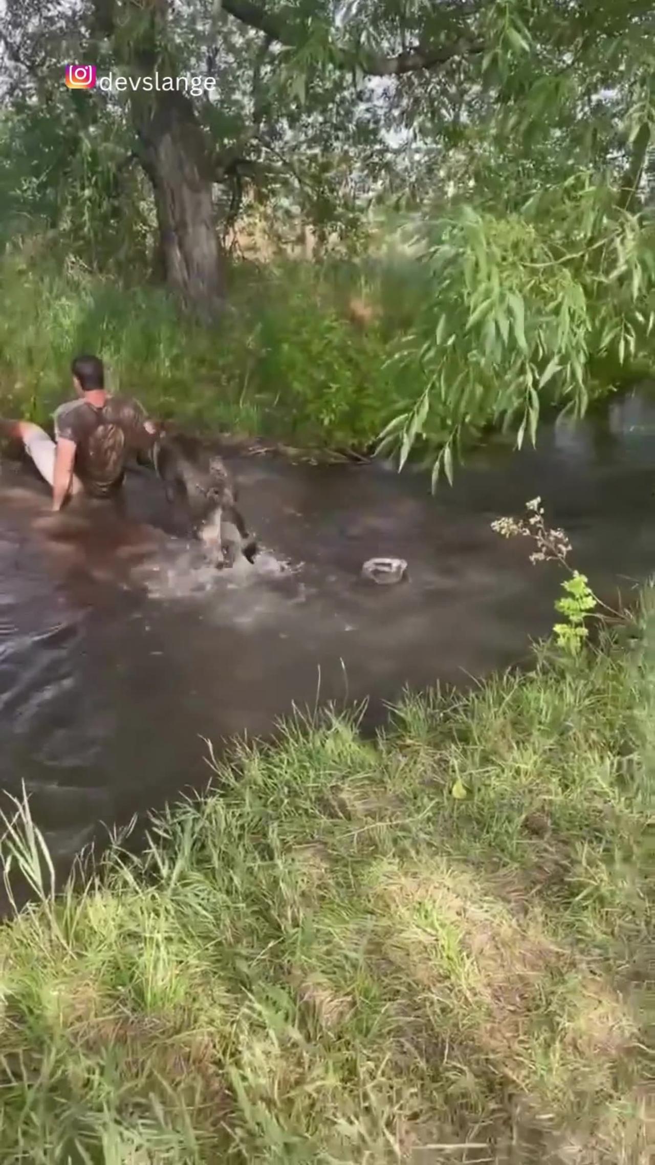 The end 😂😂😂 #viral #shorts #fails - One News Page VIDEO