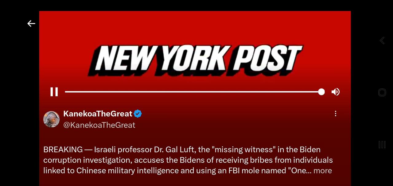 Dr. Gal Luft on Biden Family Corruption - One News Page VIDEO