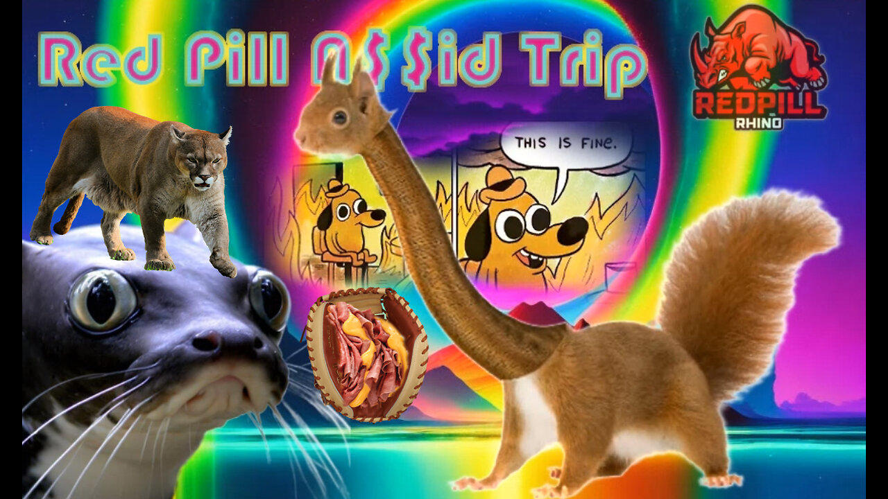 Red Pill A$$id Trip - One News Page VIDEO