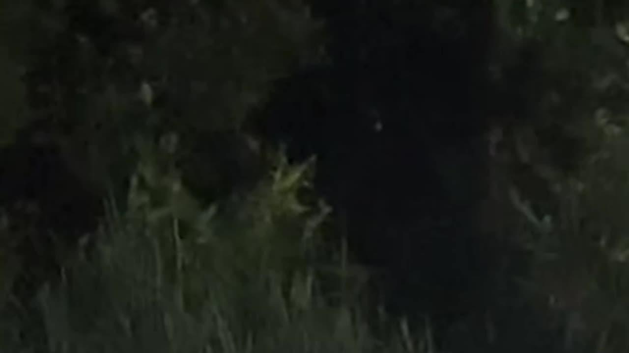 Ghost on camera paranormal activity part 113 - One News Page VIDEO