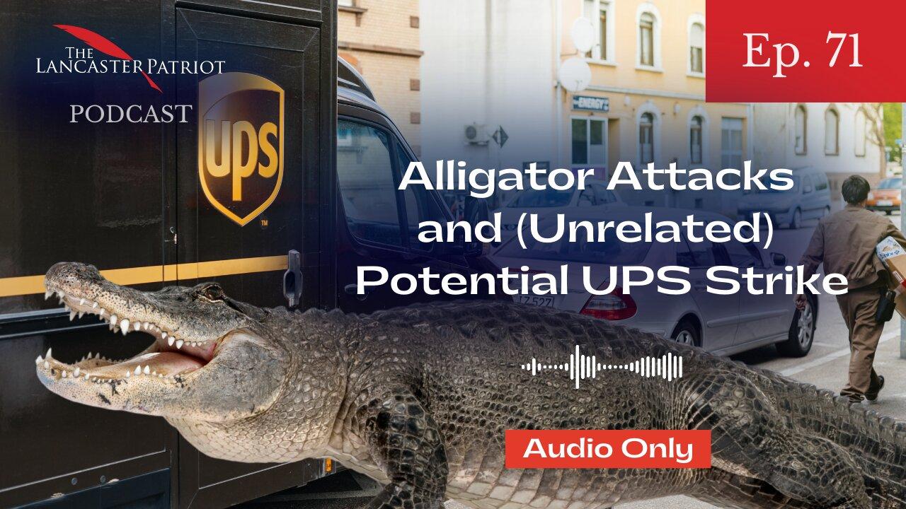 Alligator Attacks and Potential UPS Strike - One News Page VIDEO