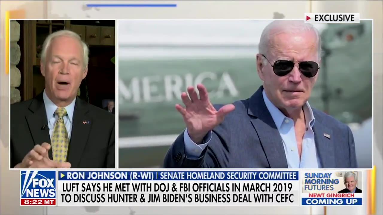 Witness to Biden Crime Family Gal Luft, Indicted - One News Page VIDEO