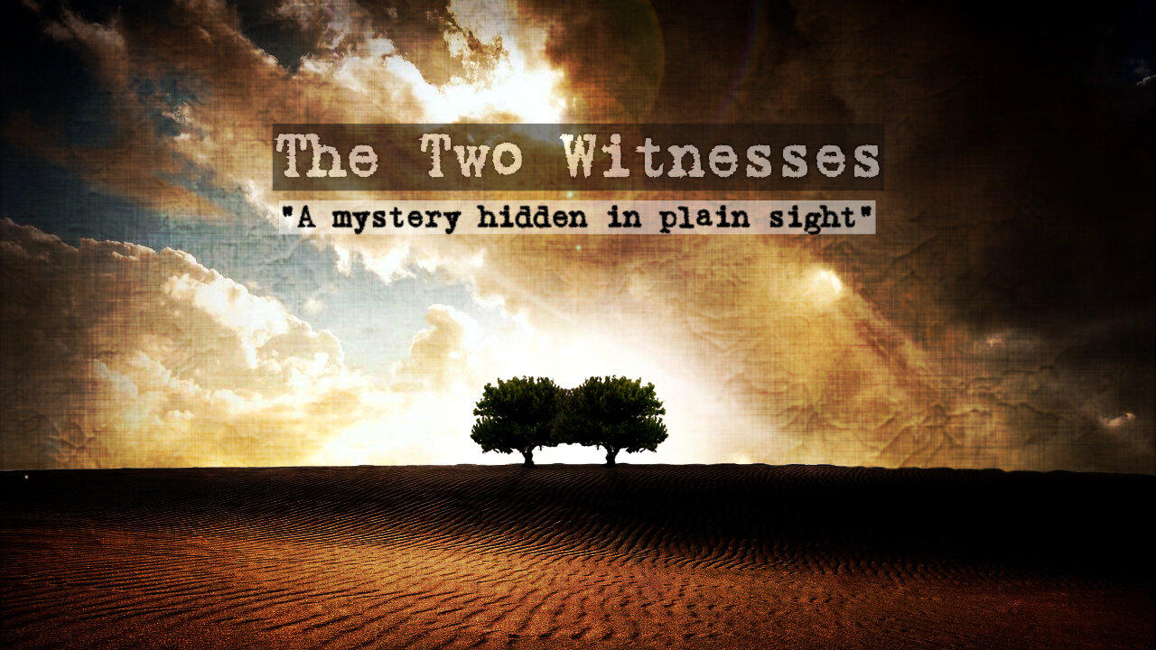 The Two Witnesses - A mystery hidden in plain - One News Page VIDEO
