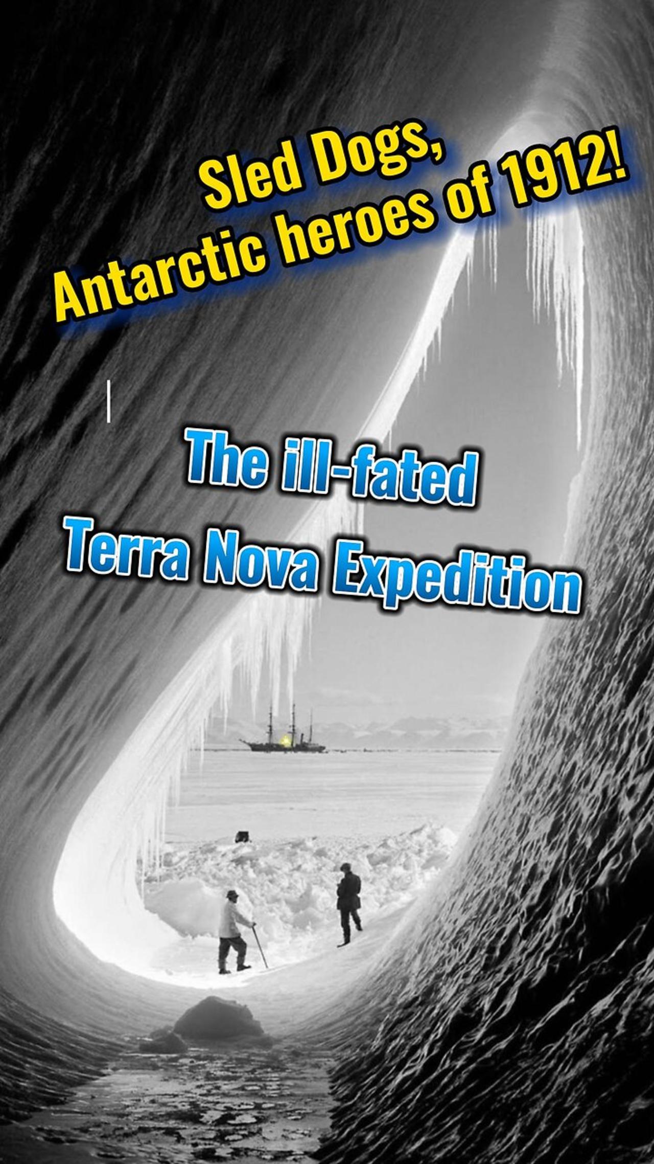 The Extraordinary Antarctic Rescue: How Sled - One News Page VIDEO