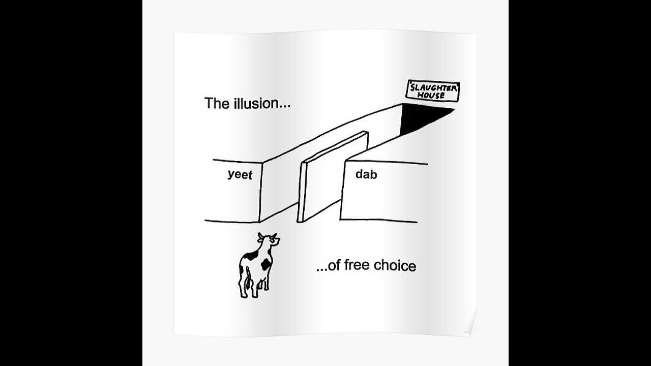 The Illusion of Choice - One News Page VIDEO