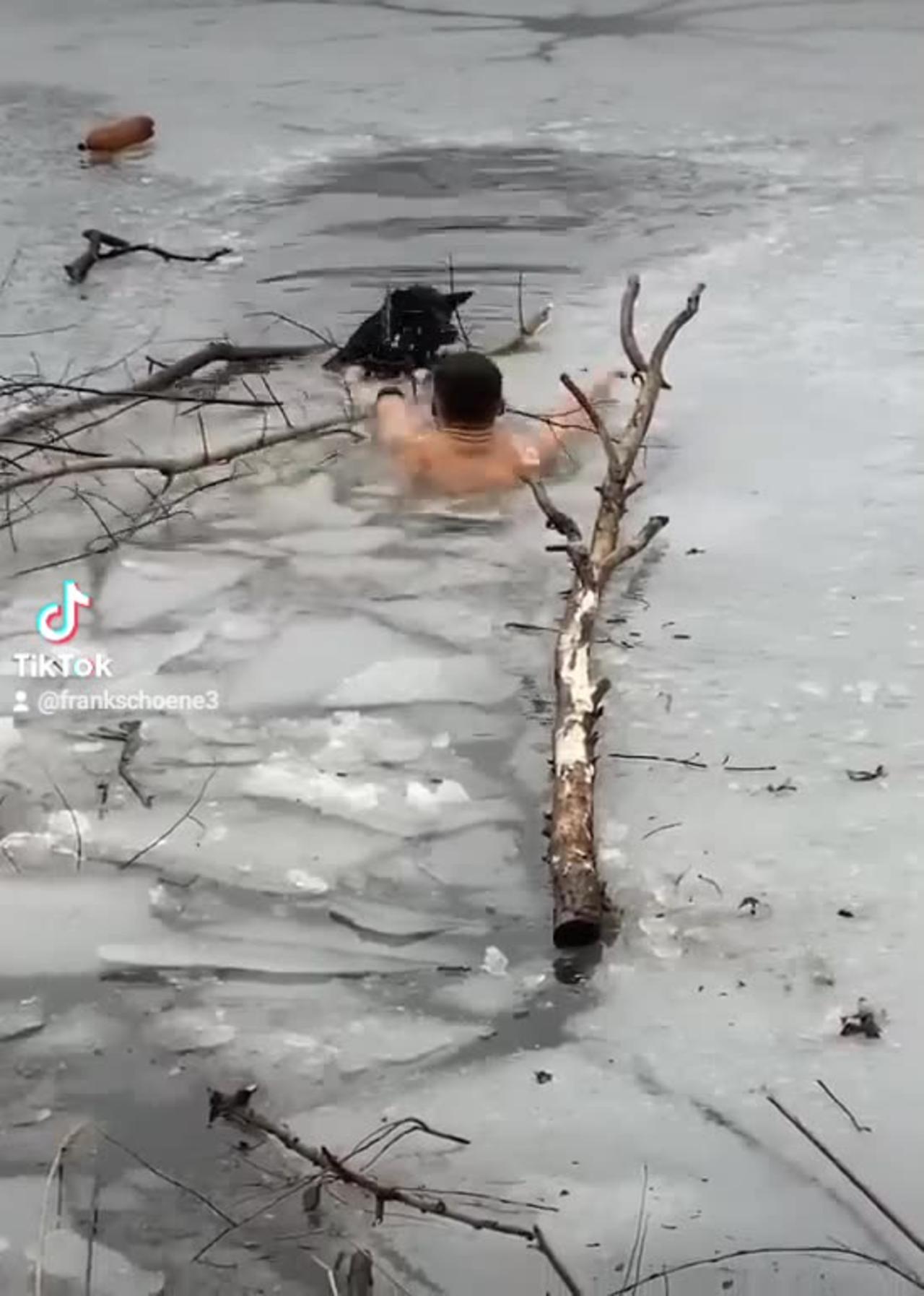 Frozen dog - One News Page VIDEO