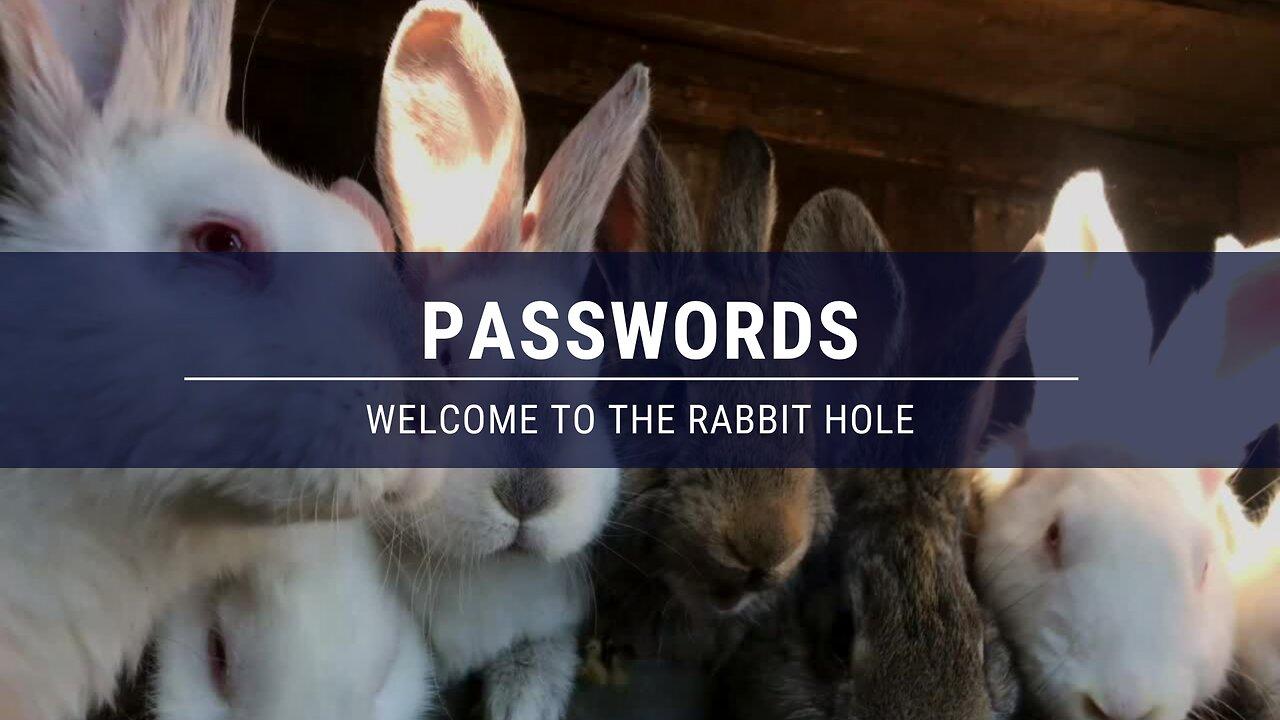 Passwords: Welcome to the Rabbit Hole - One News Page VIDEO