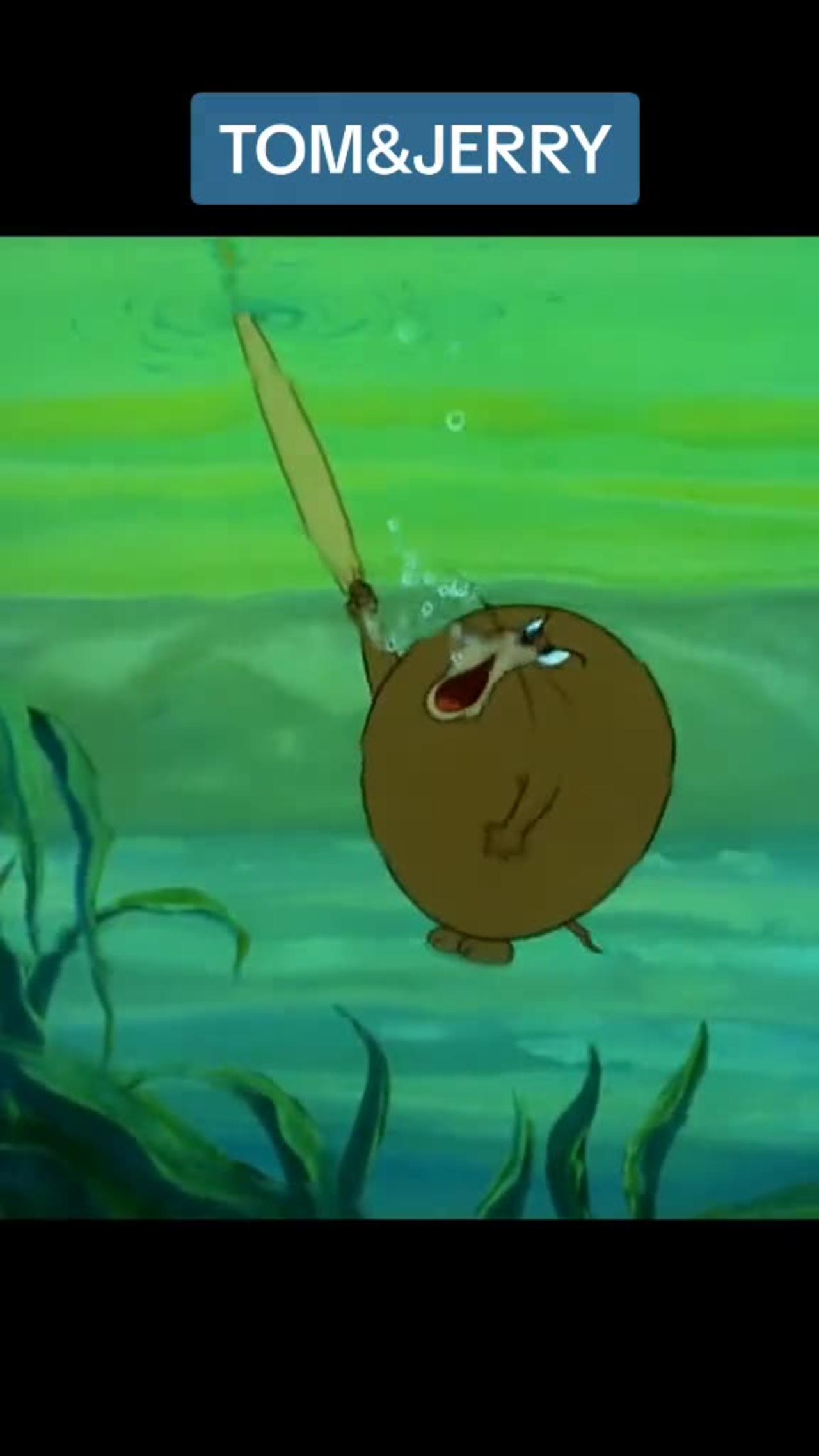 Tom And Jerry Animated Cartoon - One News Page VIDEO