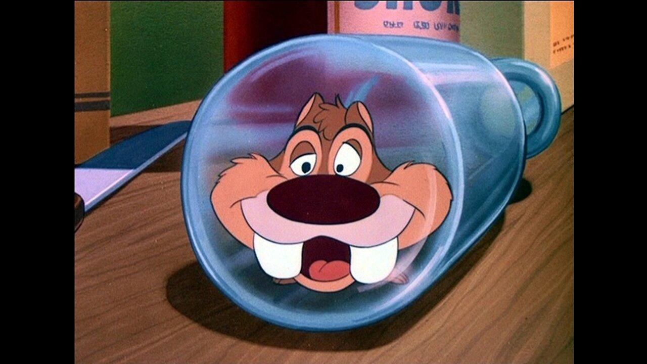 Chip and Dale Vs Donald Duck | Three for - One News Page VIDEO