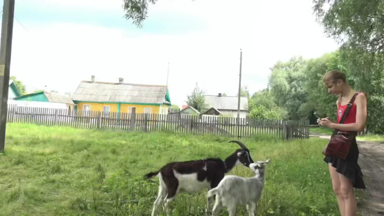 Milana - On the River Ptich - One News Page VIDEO