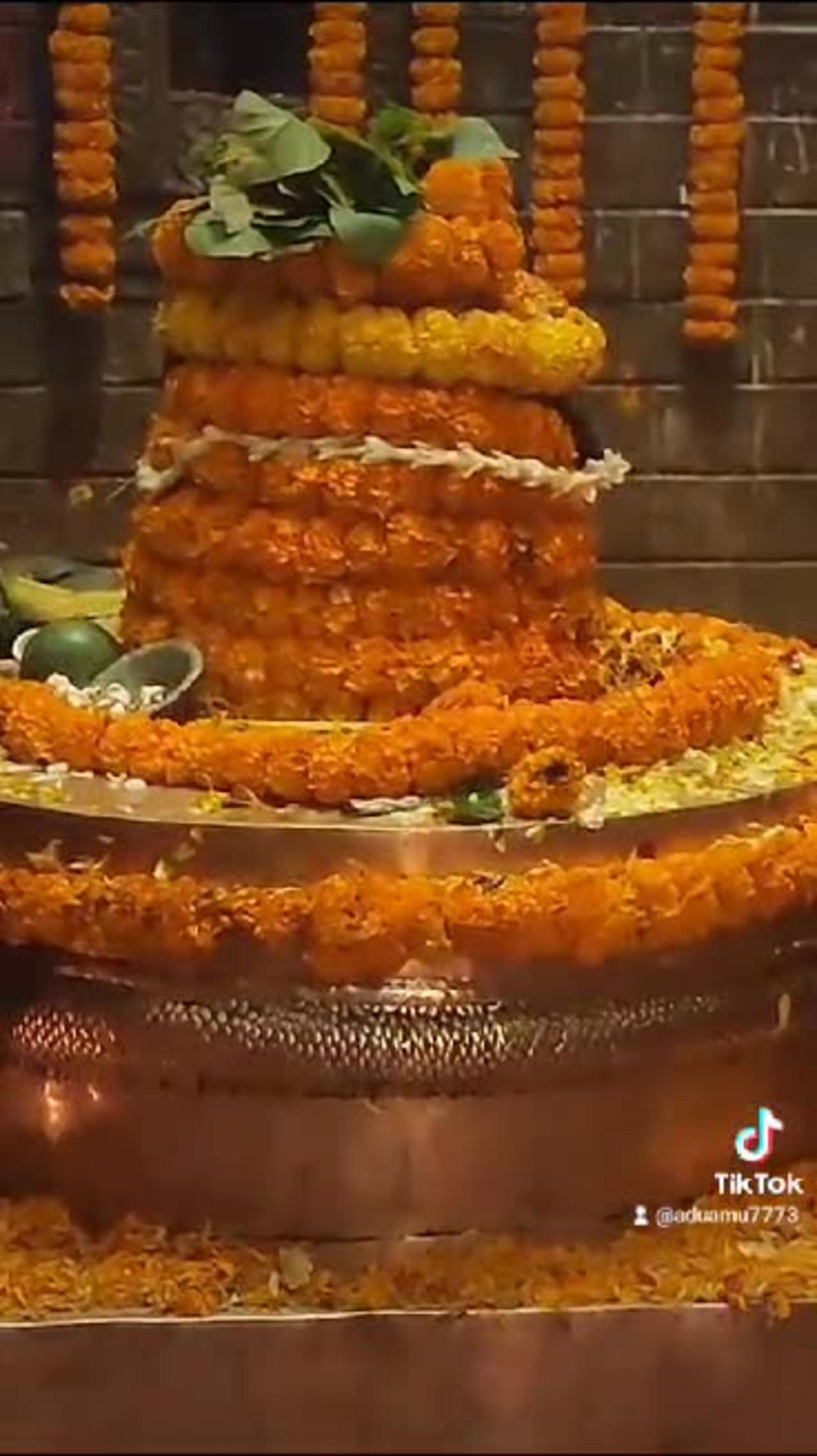 Maha Shiva Ratri at Naxal Bhagawati Temple - One News Page VIDEO