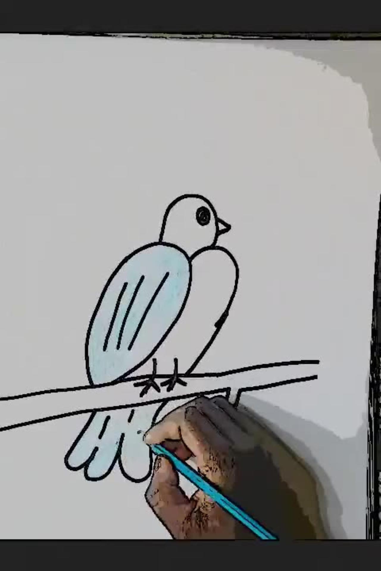 Fun and Easy Bird Drawing Technique for Kids! - One News Page VIDEO