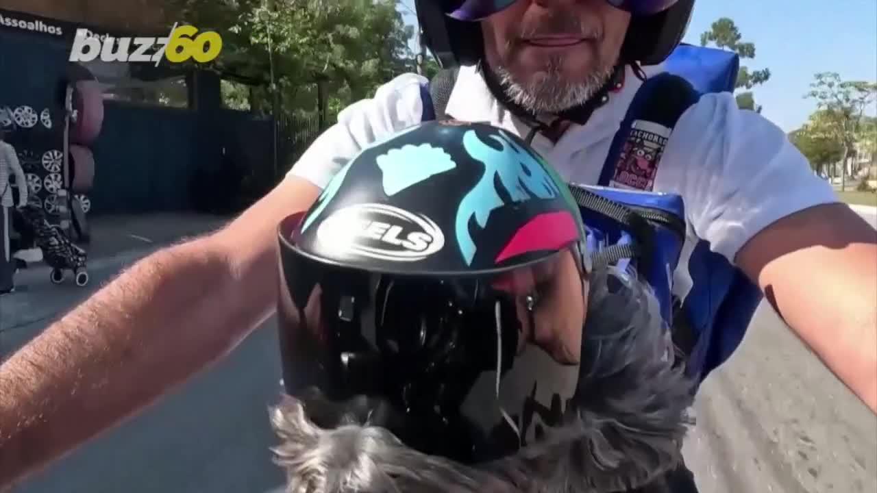 Ruby the Pup and Her Owner Are Feeding - One News Page VIDEO