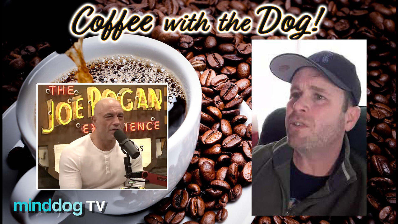 Jay Merante Comes Out For An Encore + Rogan - One News Page VIDEO