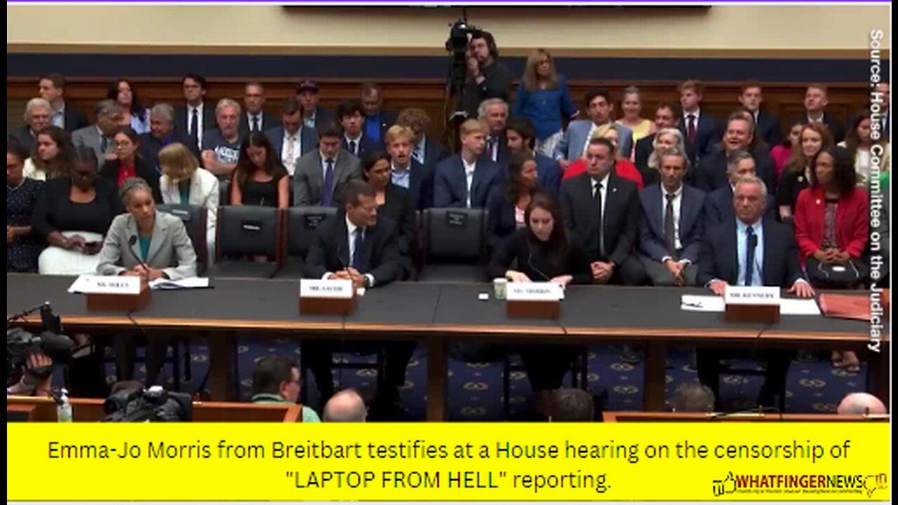 Emma-Jo Morris from Breitbart testifies at a - One News Page VIDEO