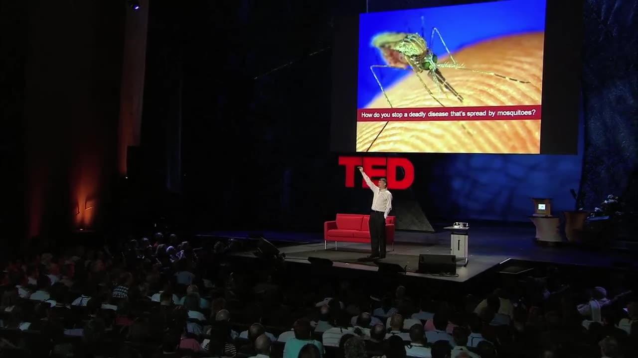 BILL GATES IN TED-ED Mosquitos, malaria and - One News Page VIDEO