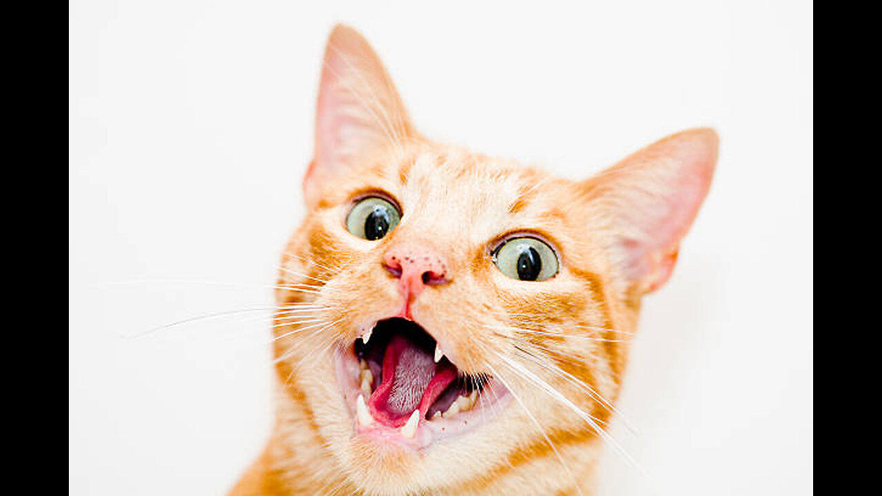 July 22, 2023 - One News Page VIDEO