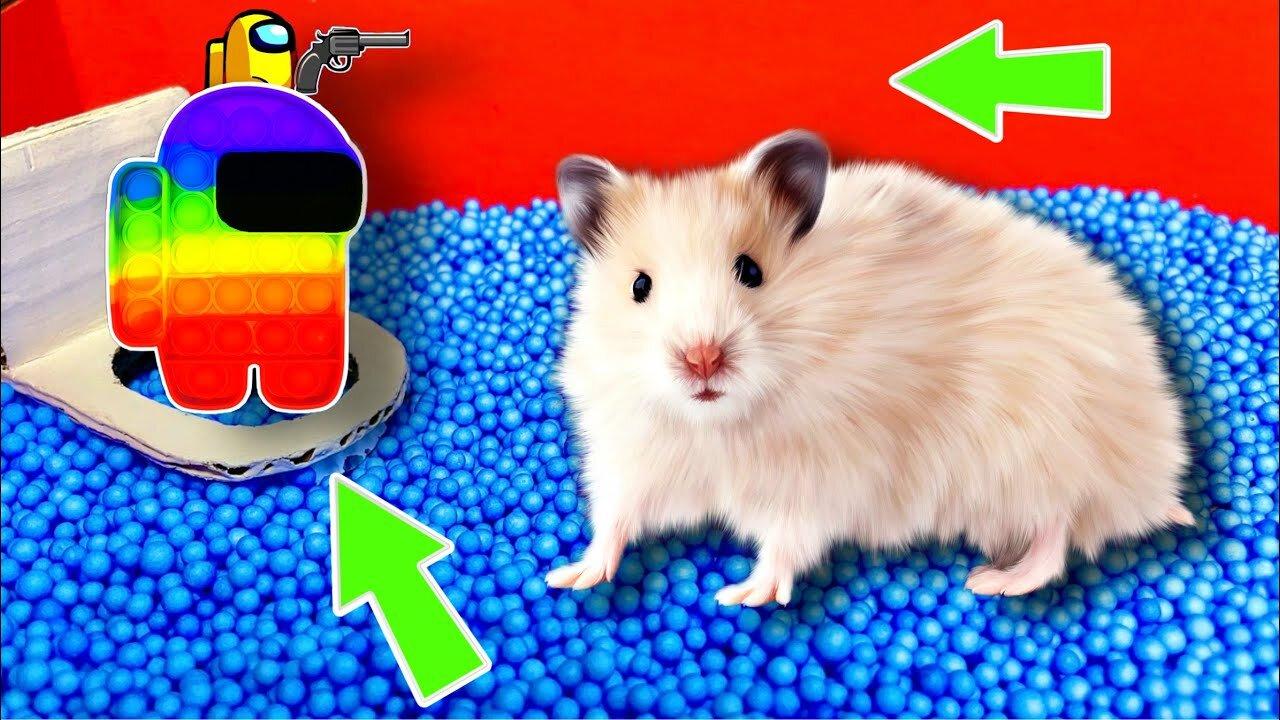 Hamster Escape: Among Us Maze - Cute Hamster - One News Page VIDEO
