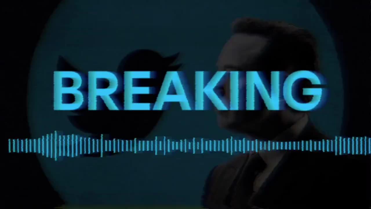 Elon Announces NEW Twitter Rebranding - One News Page VIDEO