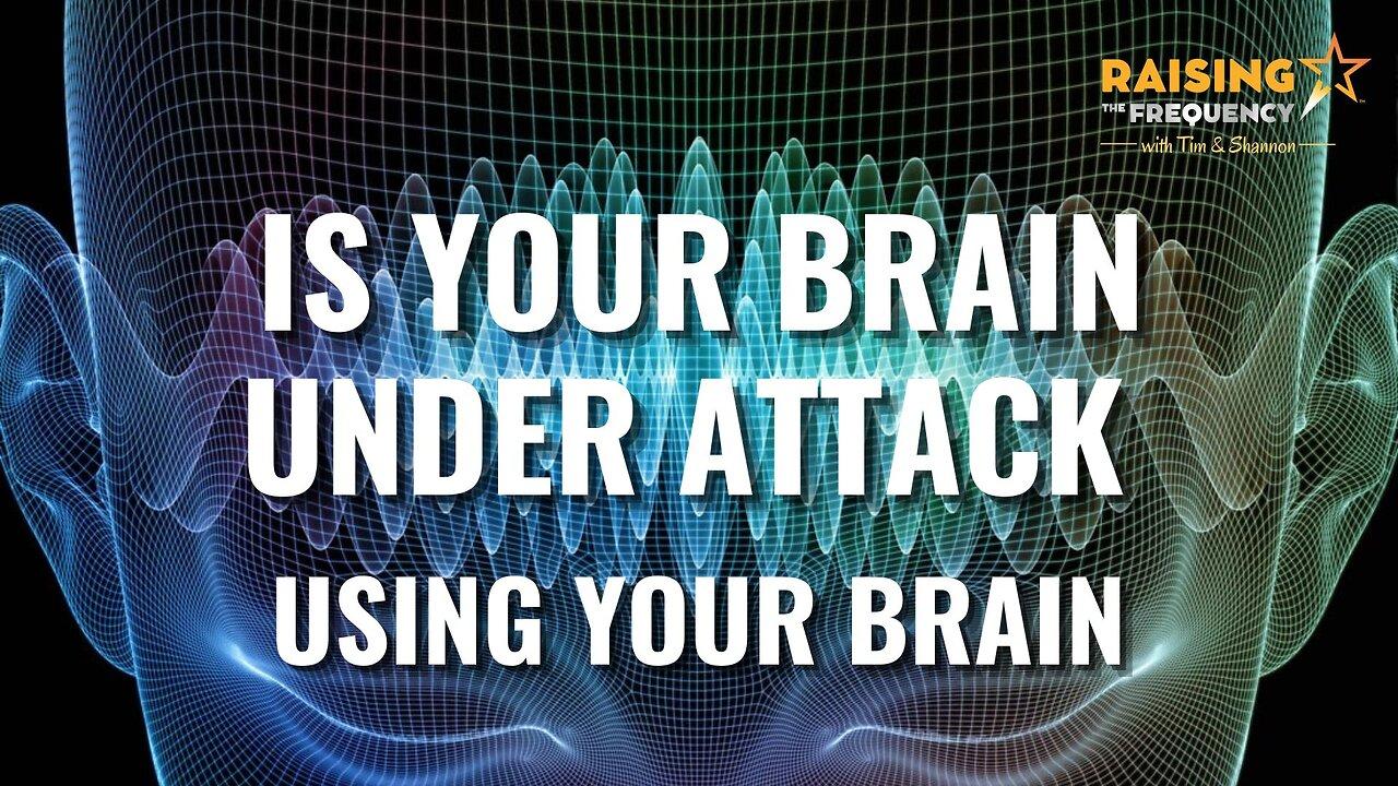 Using Your Brain - One News Page VIDEO