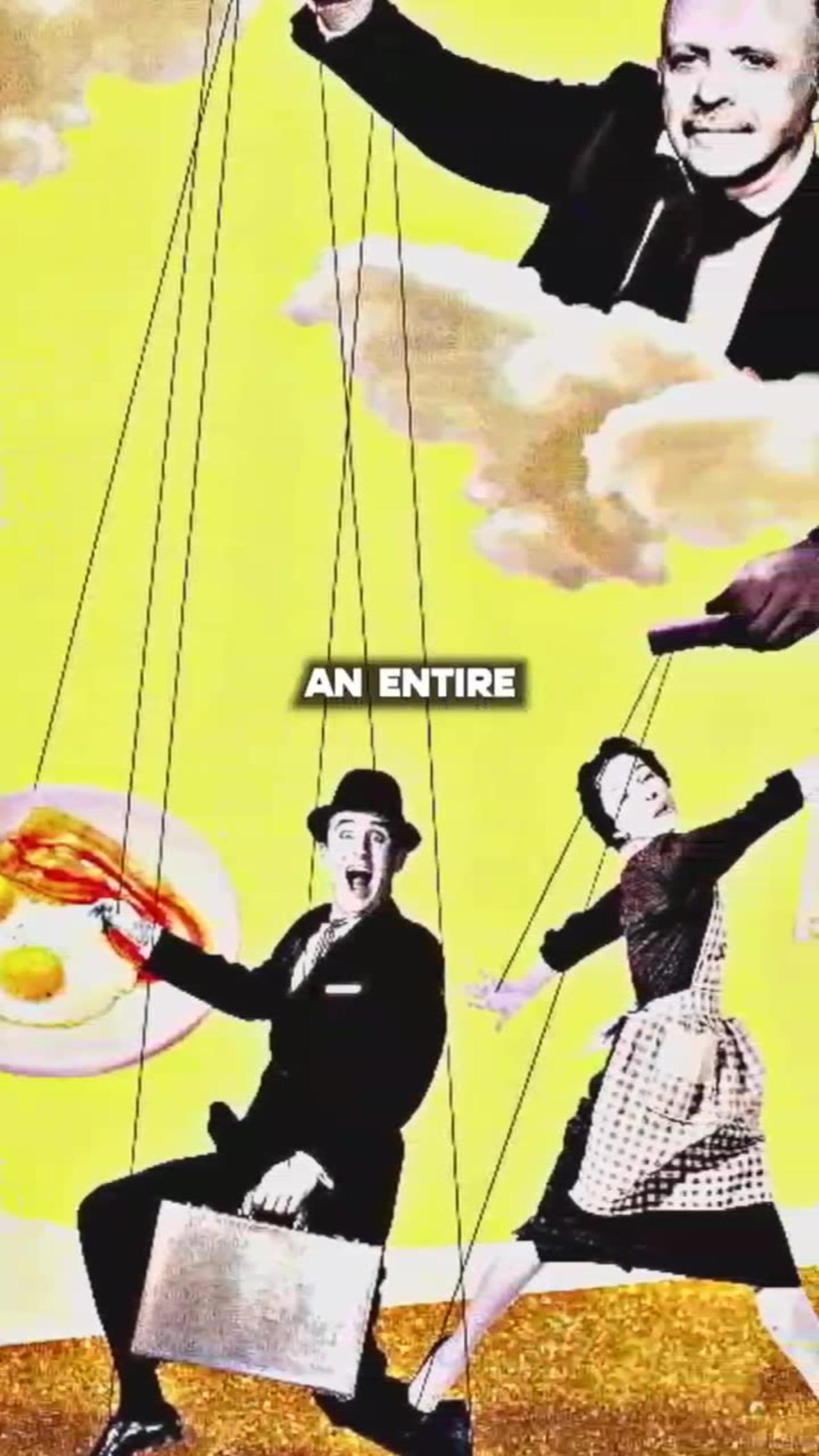Breakfast has been MATRIX plot all along - One News Page VIDEO