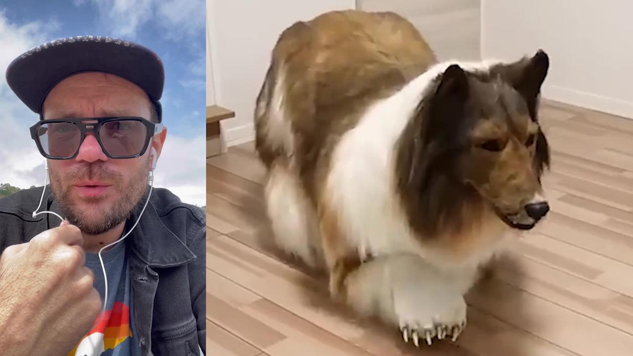 Man Turns into Dog, Russia Drone Attack, - One News Page VIDEO