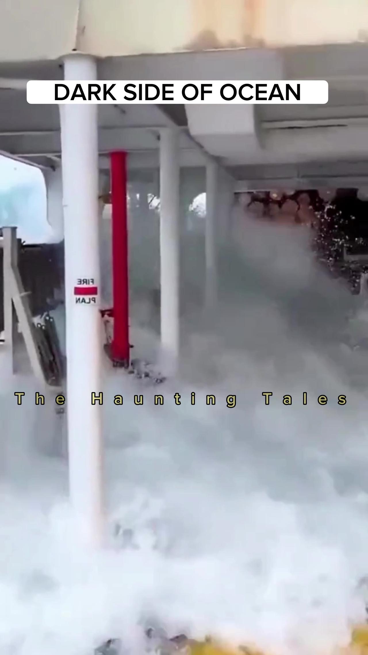 Dark side of OCEAN | Scary moment's caught - One News Page VIDEO