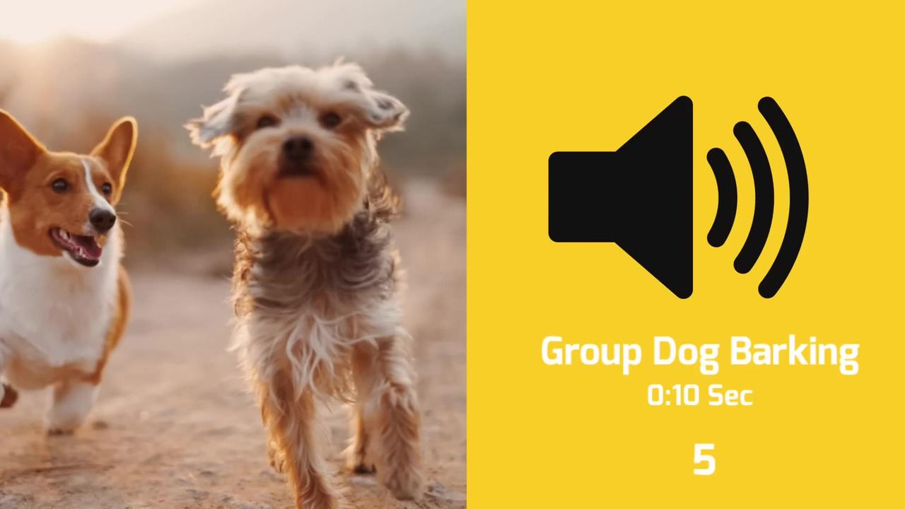 Dog Barking Sound Effect - Copyright free - One News Page VIDEO