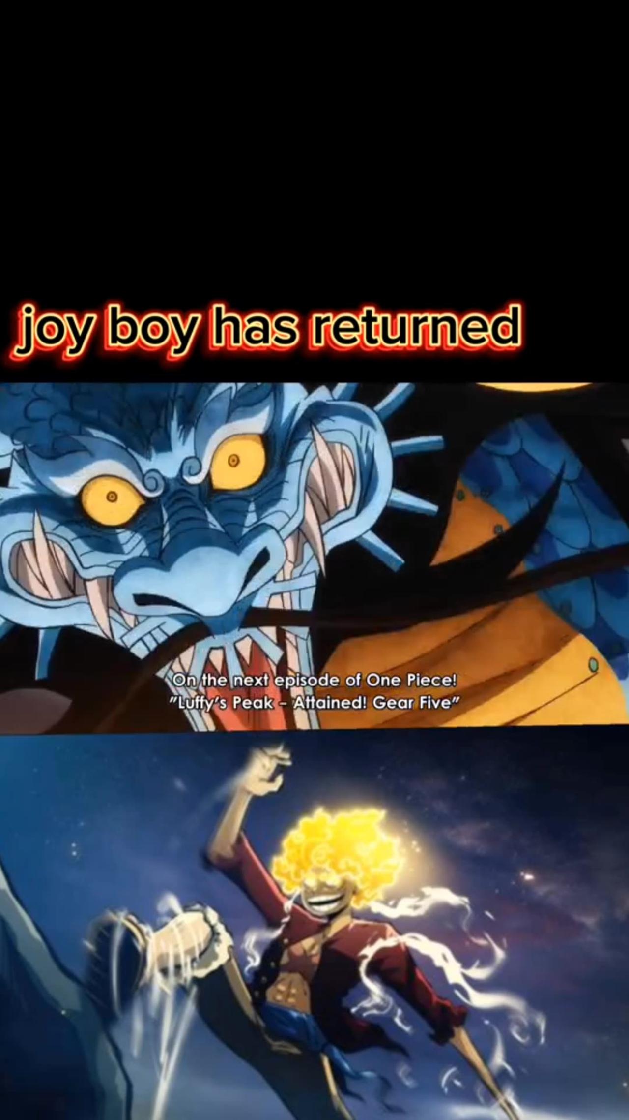 Joy boy has returned - One News Page VIDEO