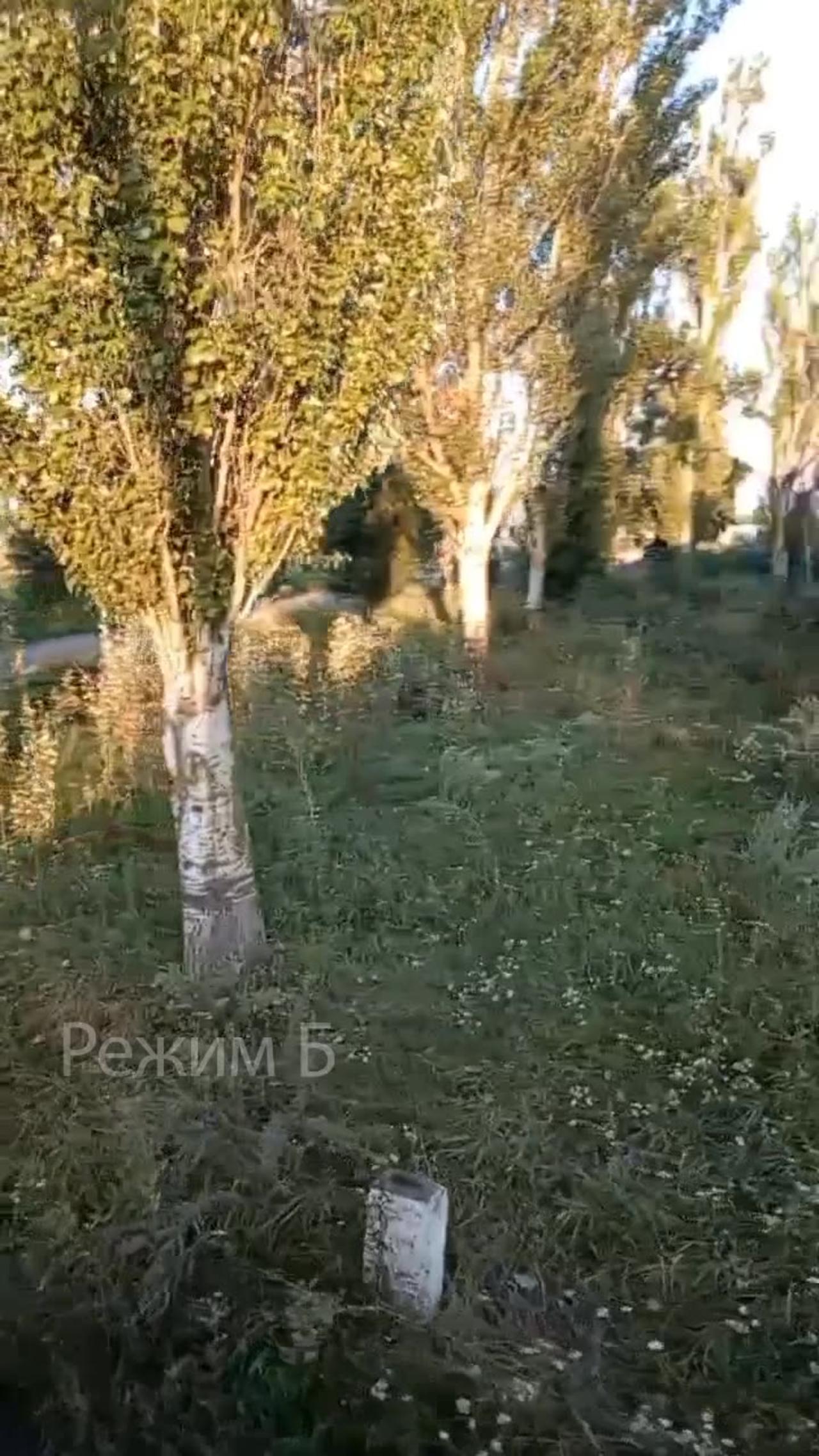 Warriors from the 37th motorized rifle brigade - One News Page VIDEO