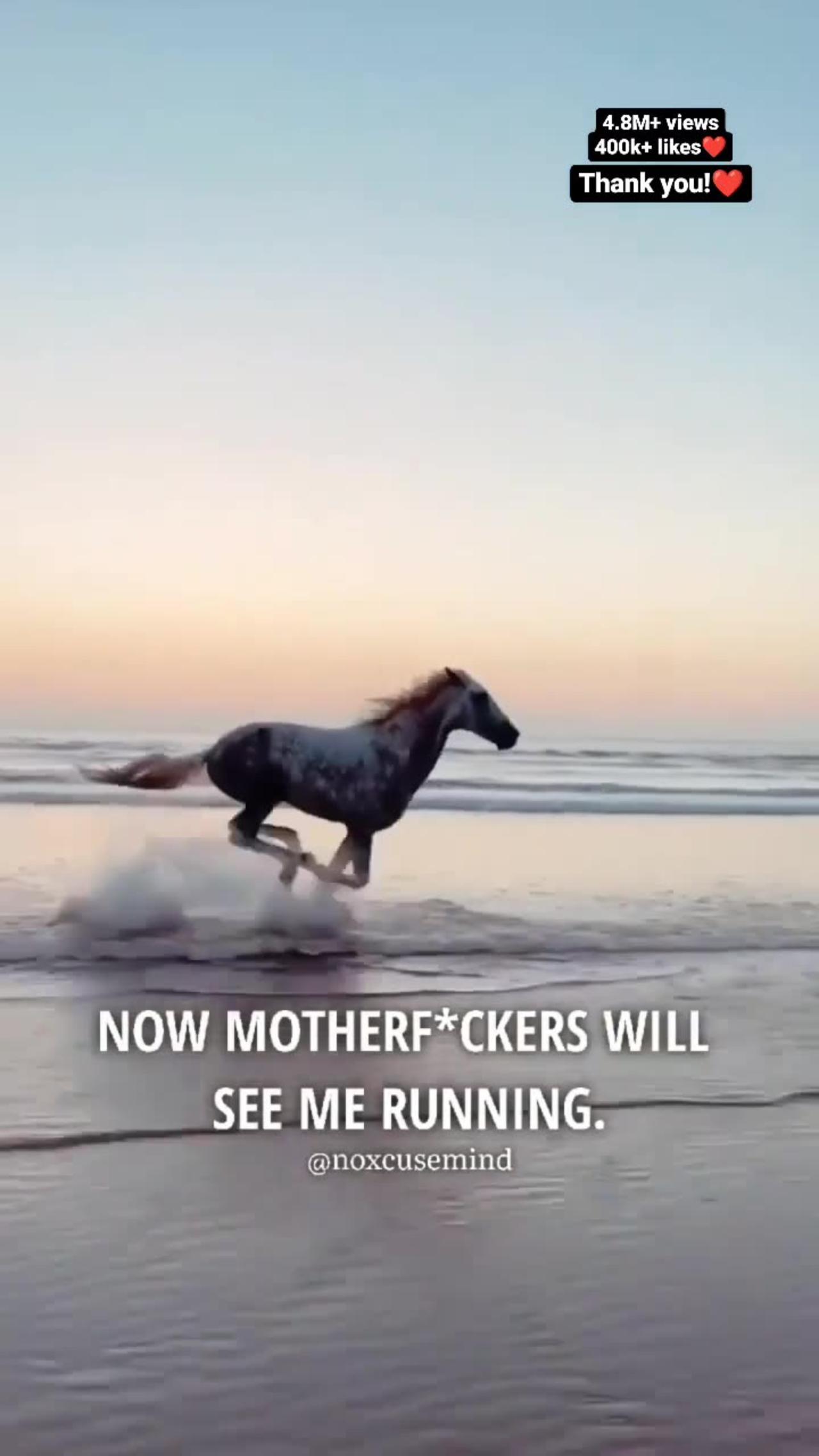 Unstoppable I Running Horse Motivational Quote - One News Page VIDEO