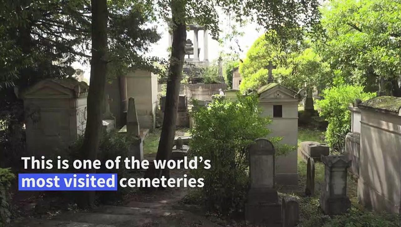 Iconic Paris cemetery welcomes weeds and - One News Page VIDEO