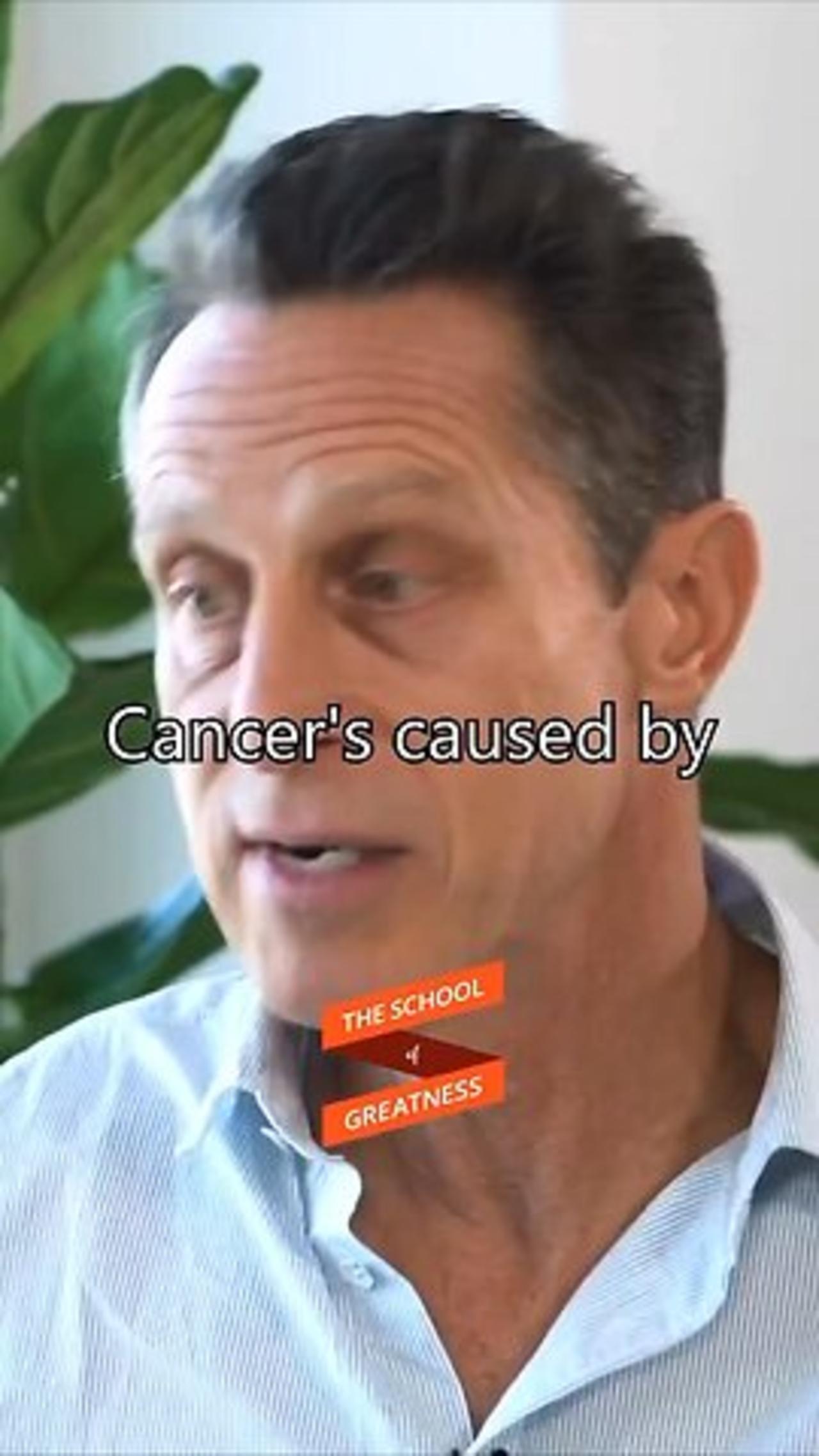 Change diet to avoid cancer - One News Page VIDEO