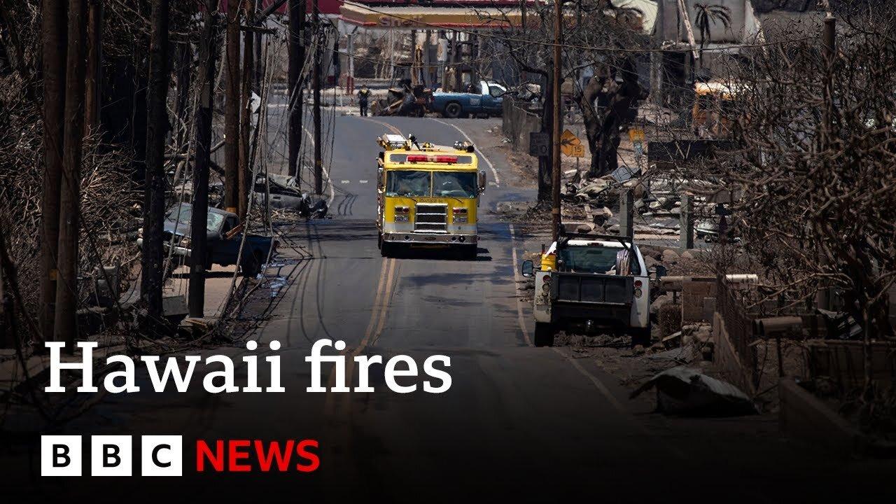 Hawaii wildfires: At least 80 killed in Maui – - One News Page VIDEO Hawaii wildfires: At least 80 killed in Maui – - One News Page VIDEO