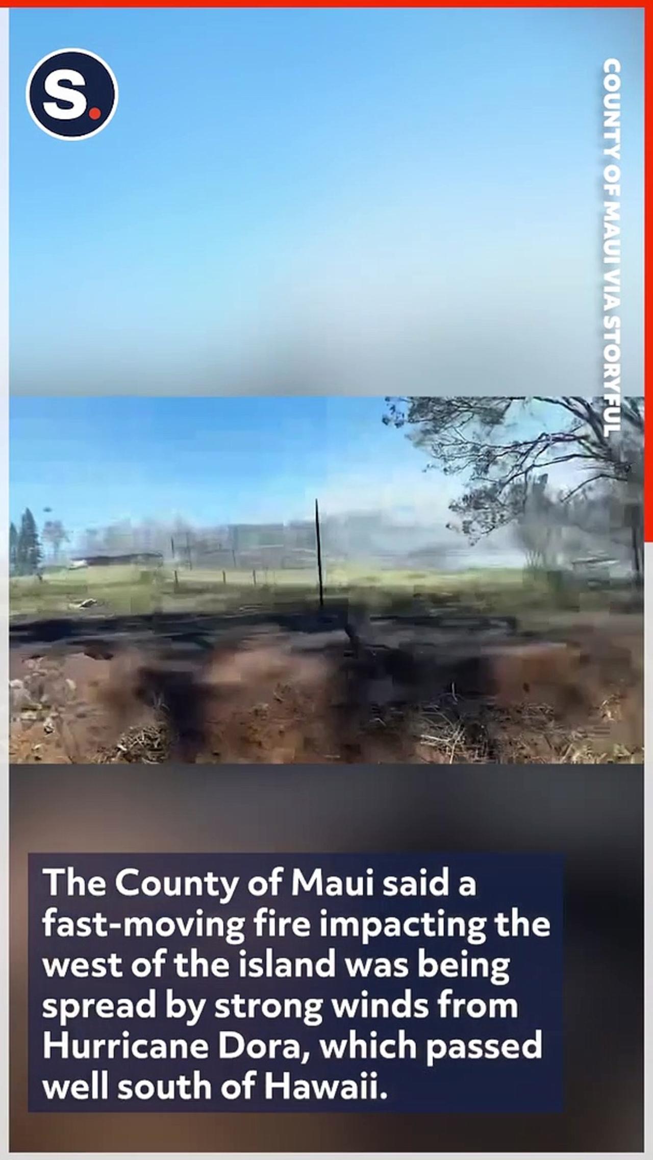 Damaging Fires Fanned by Strong Winds Spread in - One News Page VIDEO