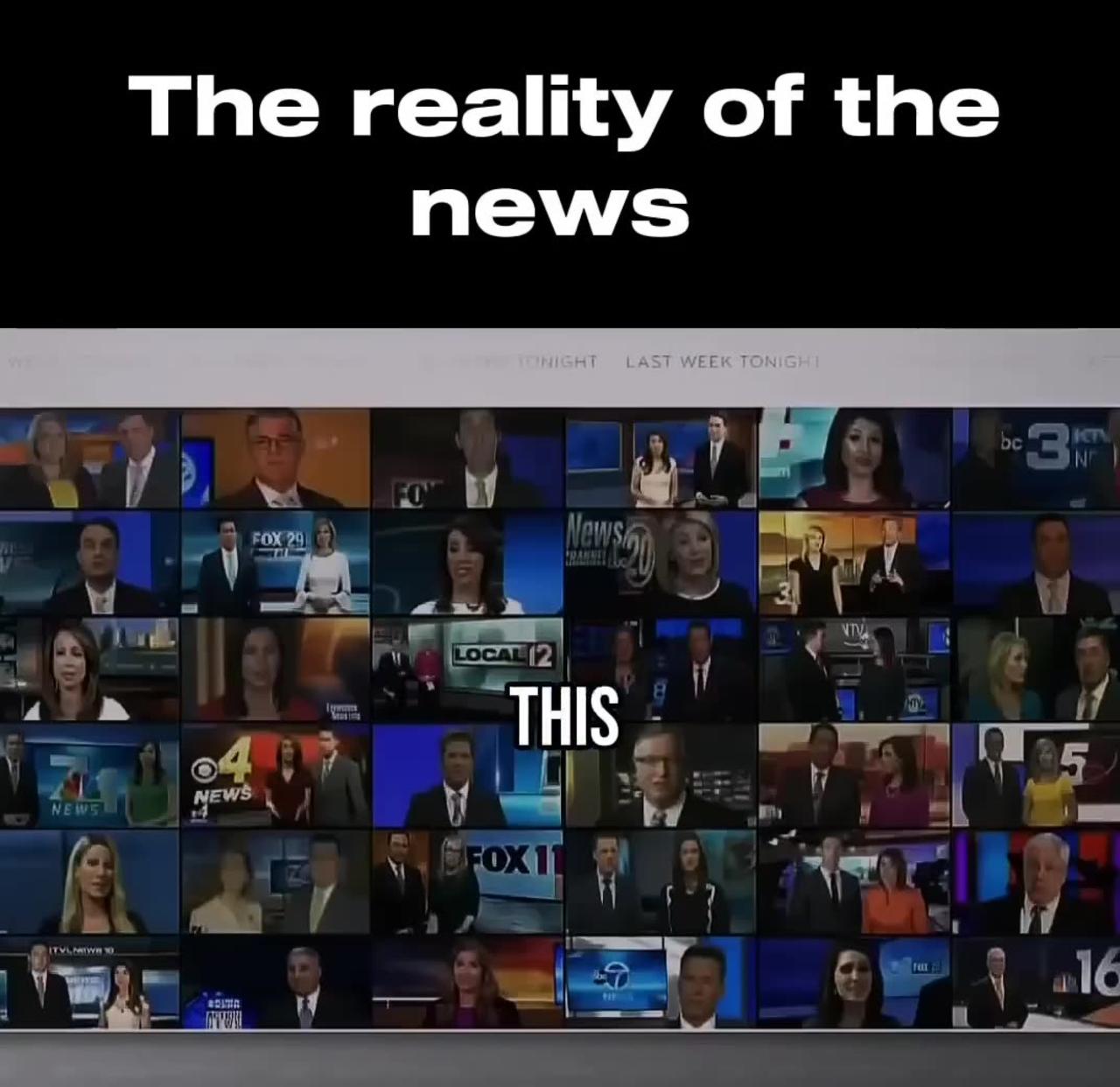 MSM - The parrot machine! - One News Page VIDEO