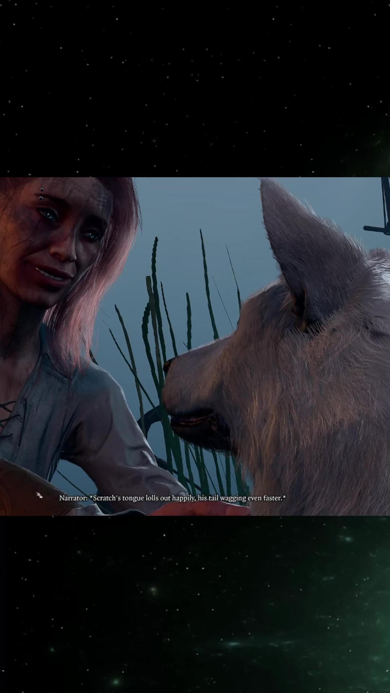 Pet The Dog BG3 short #criticalrealms #dnd - One News Page VIDEO